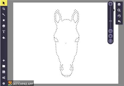 Draw a Horse's Face Markings - Allpony, By the U.S. Pony Clubs