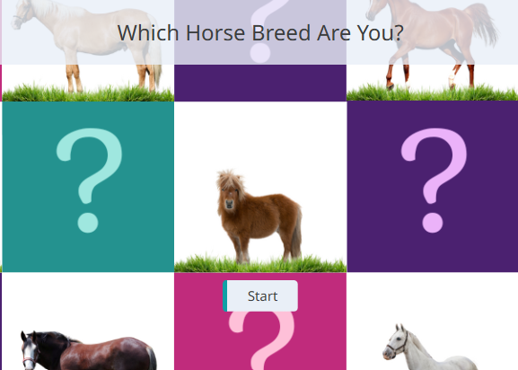 Free Online Choose Your Pony Game For Kids - Allpony, By the U.S. Pony ...